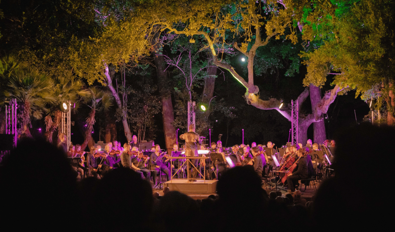 About Us | Maynardville Open-Air Festival